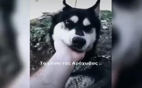 Λαοθάλασσα στο τελευταίο «αντίο»: O αφανής ήρωας του Τιτανικού που χάθηκε στα 4.000 μέτρα (pics ...