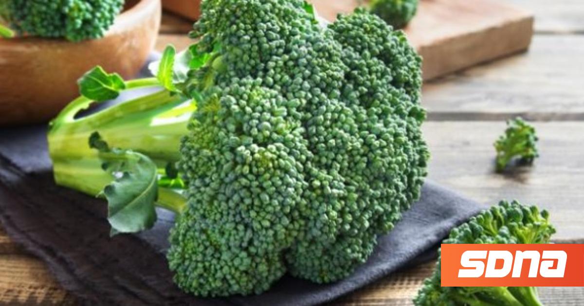 Αυτή είναι η Dream Team των λαχανικών! | SDNA