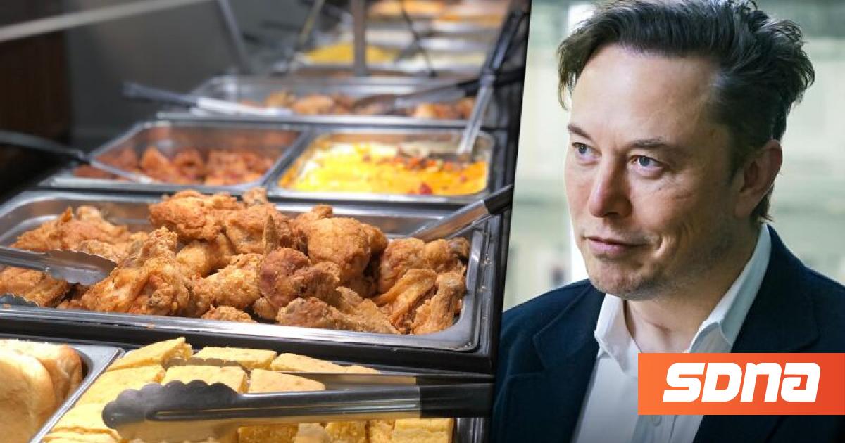 Ο Έλον Μασκ κόβει και το δωρεάν φαγητό στους εργαζόμενους του Twitter | SDNA