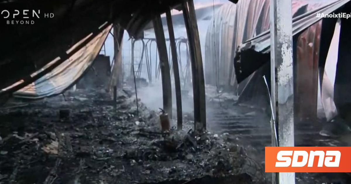 Αρτέμιδα: Φωτιά σε καφετέρια – Καταστράφηκε ολοσχερώς (vid) | SDNA