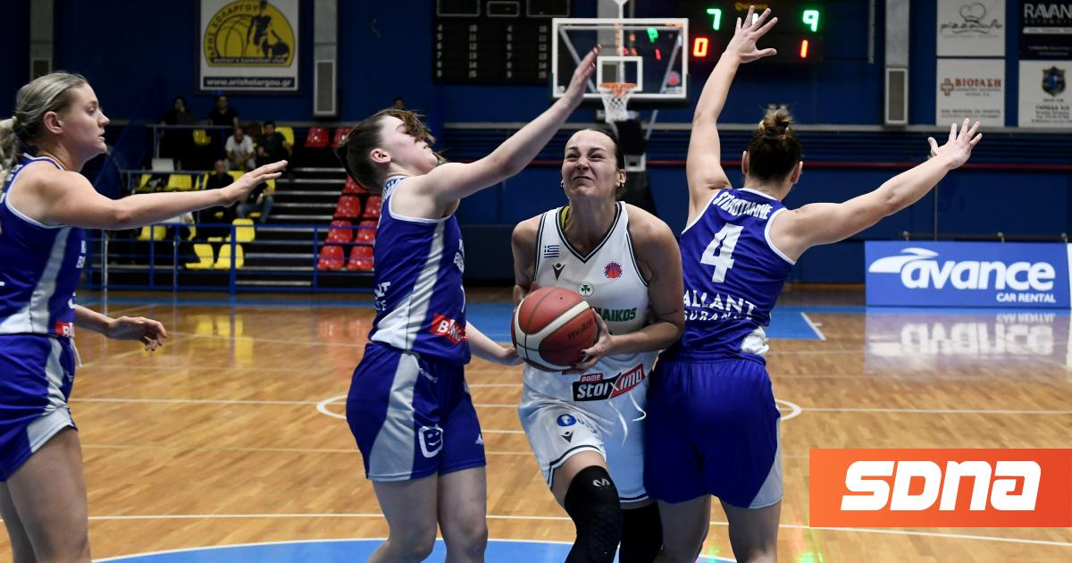 Παναθηναϊκός - Μέχελεν 80-84 (vid) | SDNA