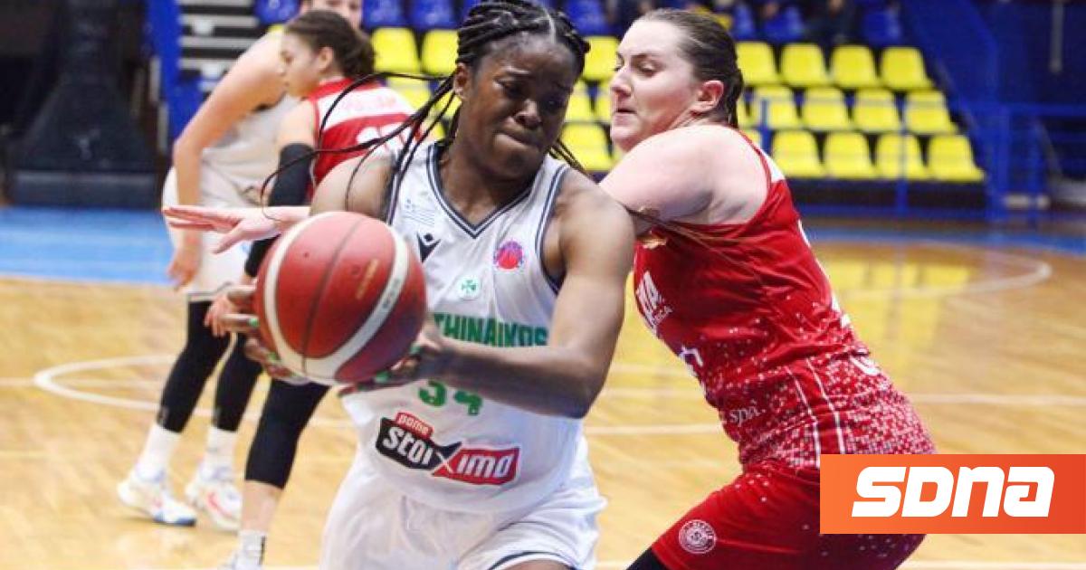 Live streaming & chat: Μπεσίκτας - Παναθηναϊκός (Eurocup 2023-24) | SDNA