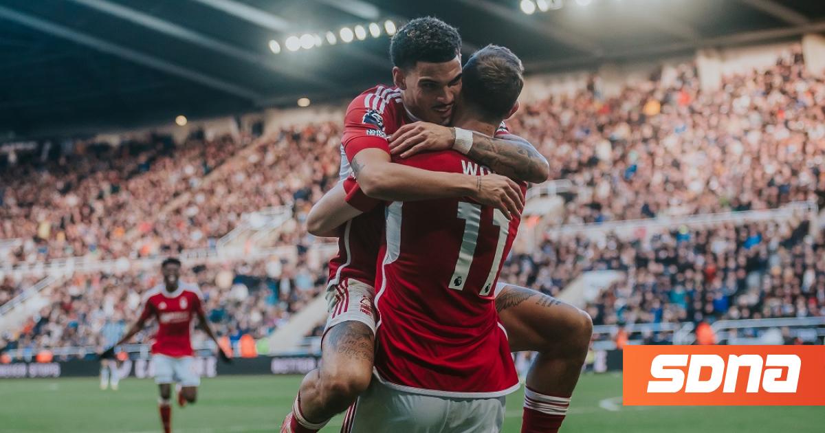 Νιουκάστλ - Νότιγχαμ Φόρεστ 1-3 | SDNA