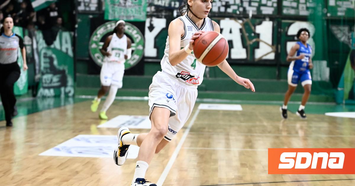 Παναθηναϊκός - Ηρακλής 105-50 | SDNA