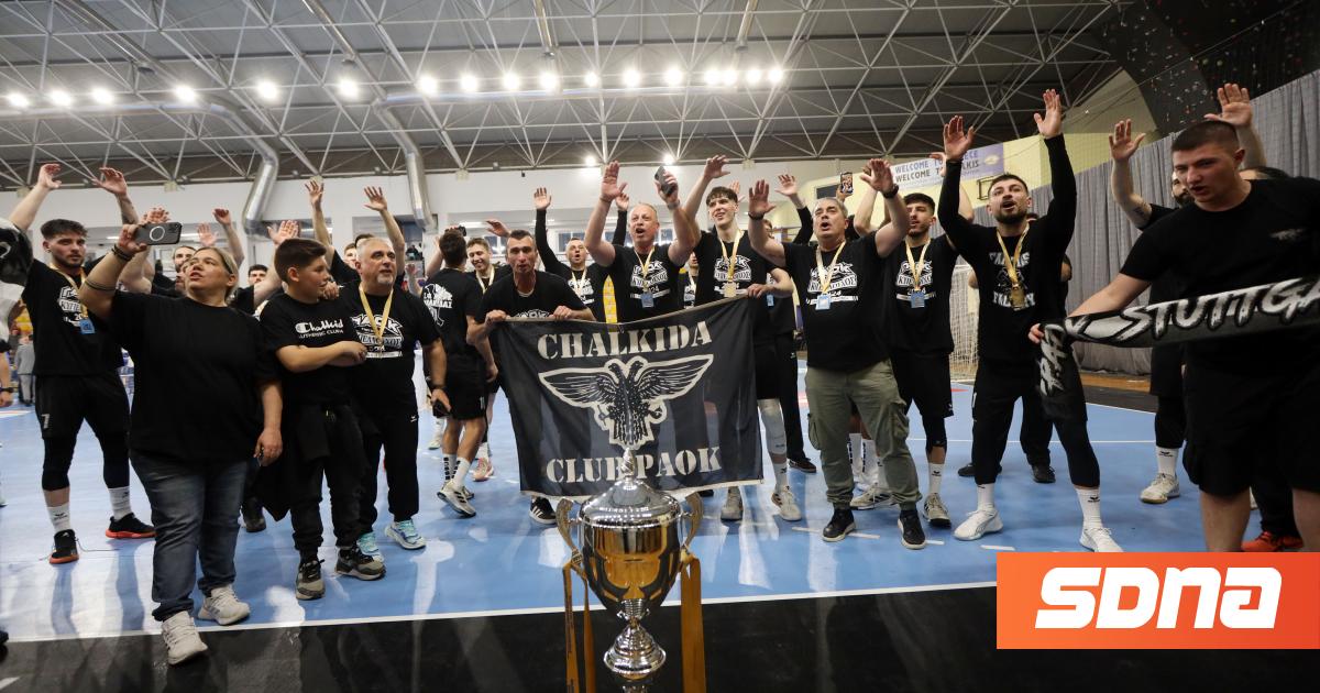 ΠΑΟΚ - Δράμα 21-20 | SDNA