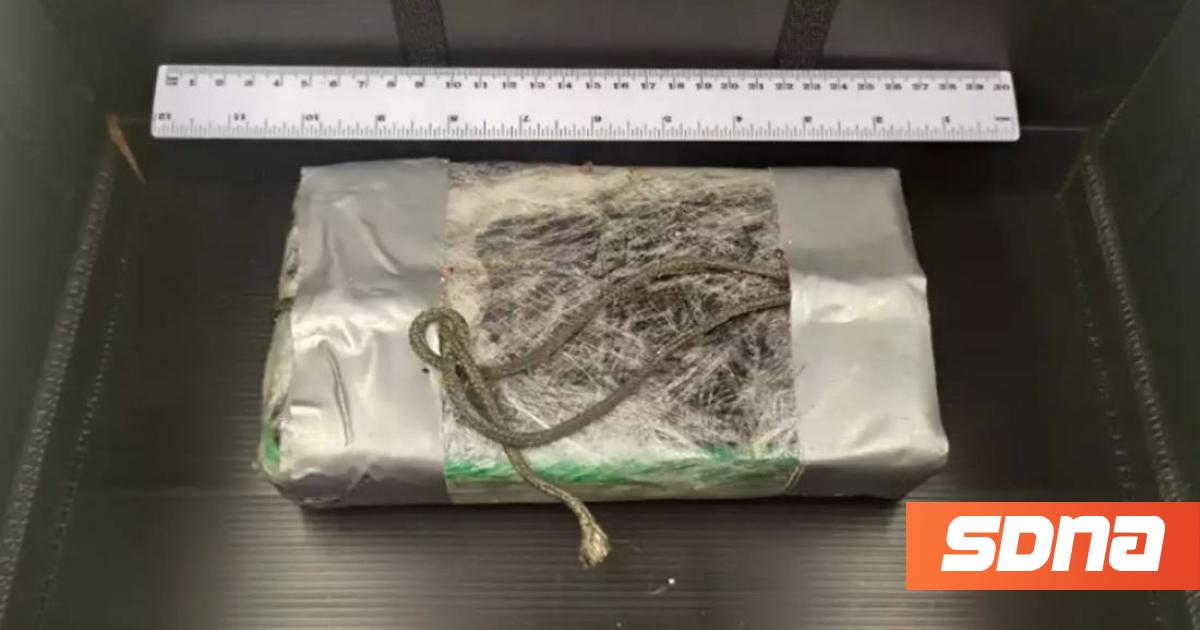 Σε κατεψυγμένα καλαμαράκια ήταν κρυμμένα τα 110 κιλά κοκαΐνης (vid) | SDNA