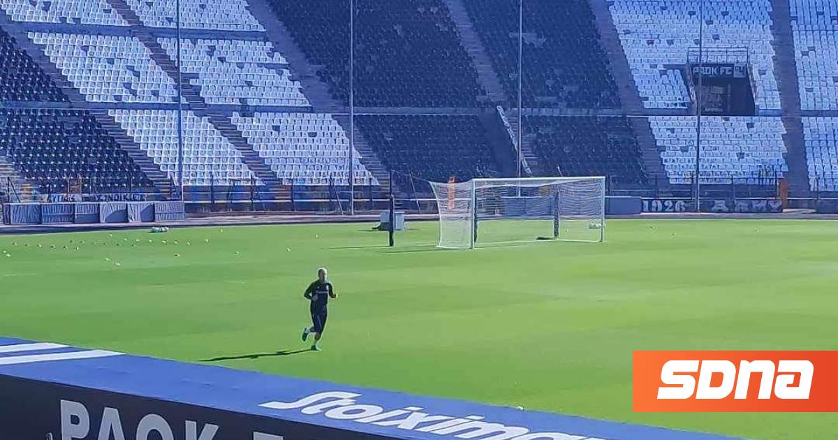 ΠΑΟΚ: Ατομικό και πάλι ο Μπράντον - Οριστικά εκτός «μάχης» ενόψει Γαλατασαράι (vid) | SDNA