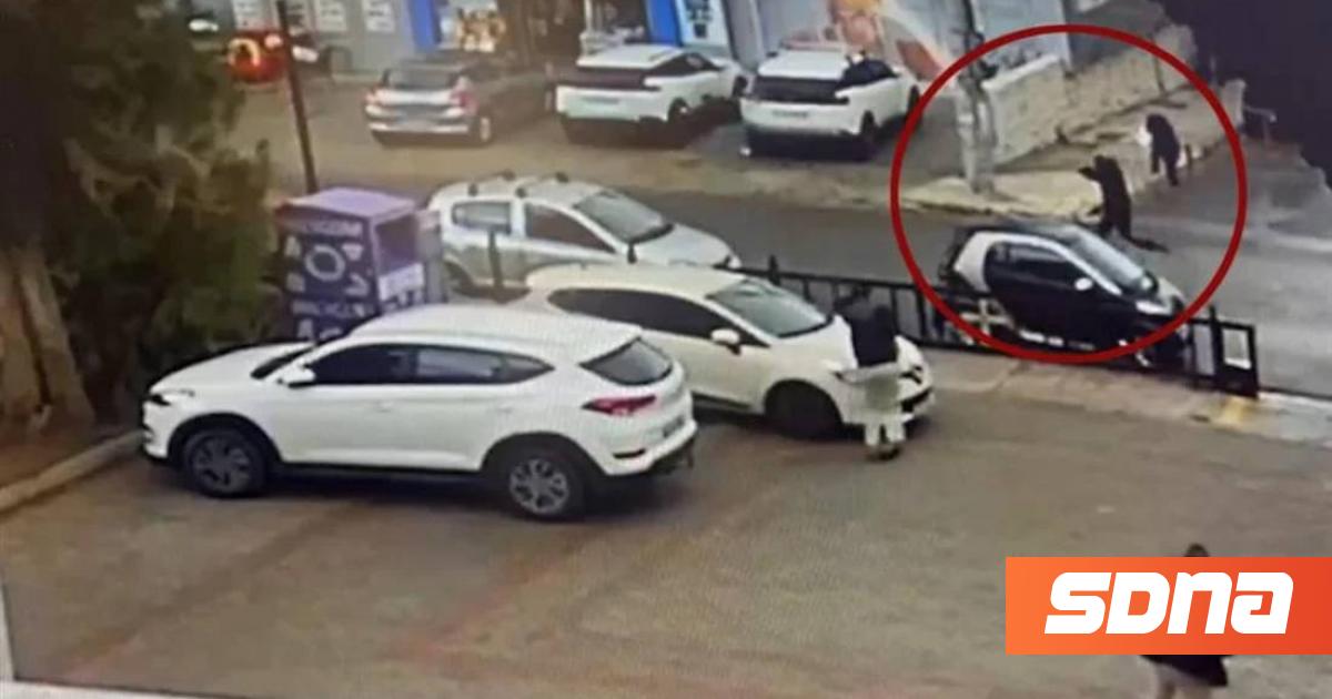 Γλυφάδα: Και τρίτο κρησφύγετο ψάχνουν οι αστυνομικοί - Το σπίτι στο Μαρκόπουλο και οι 5 που ...