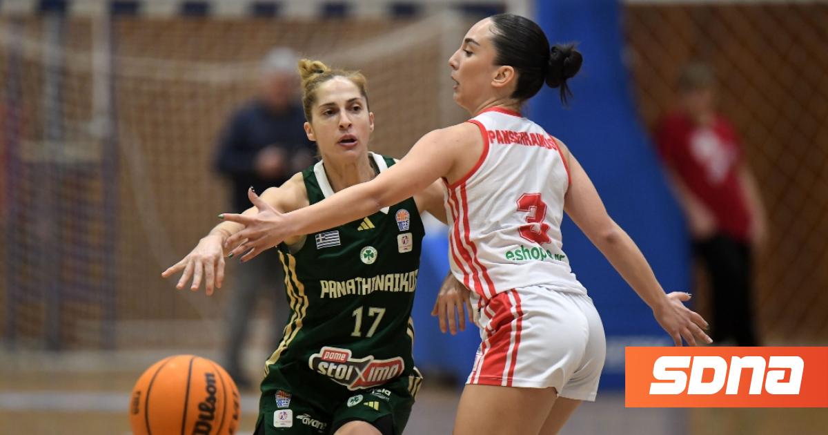 Πανσερραϊκός - Παναθηναϊκός 77-66 | SDNA