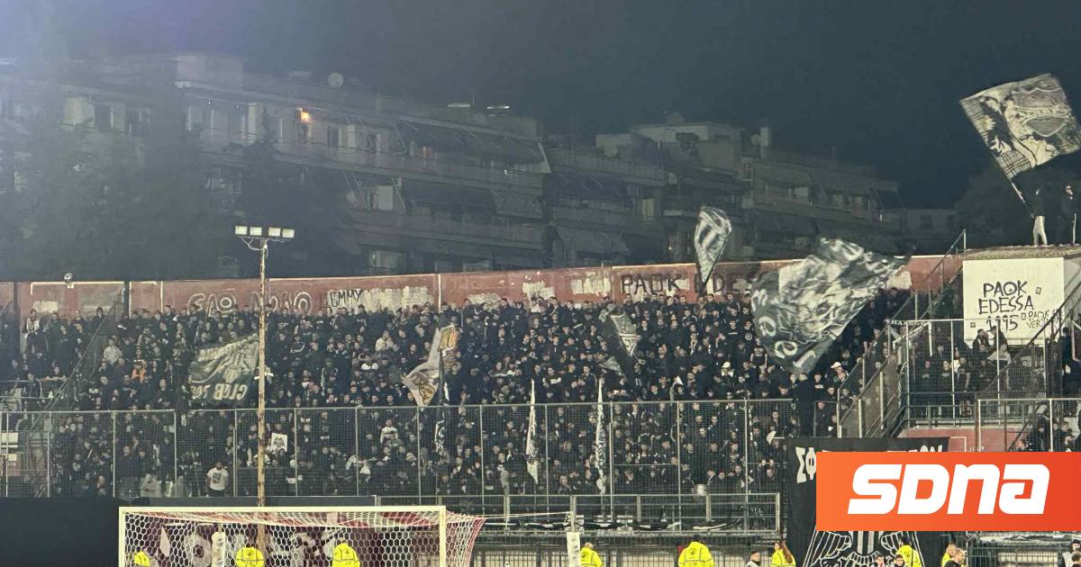 Δεν προκαλεί εντύπωση: «Πανζουρλισμός» στις Σέρρες για τον ΠΑΟΚ (vids) | SDNA