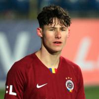 Μάρτιν Βιτίκ | SDNA